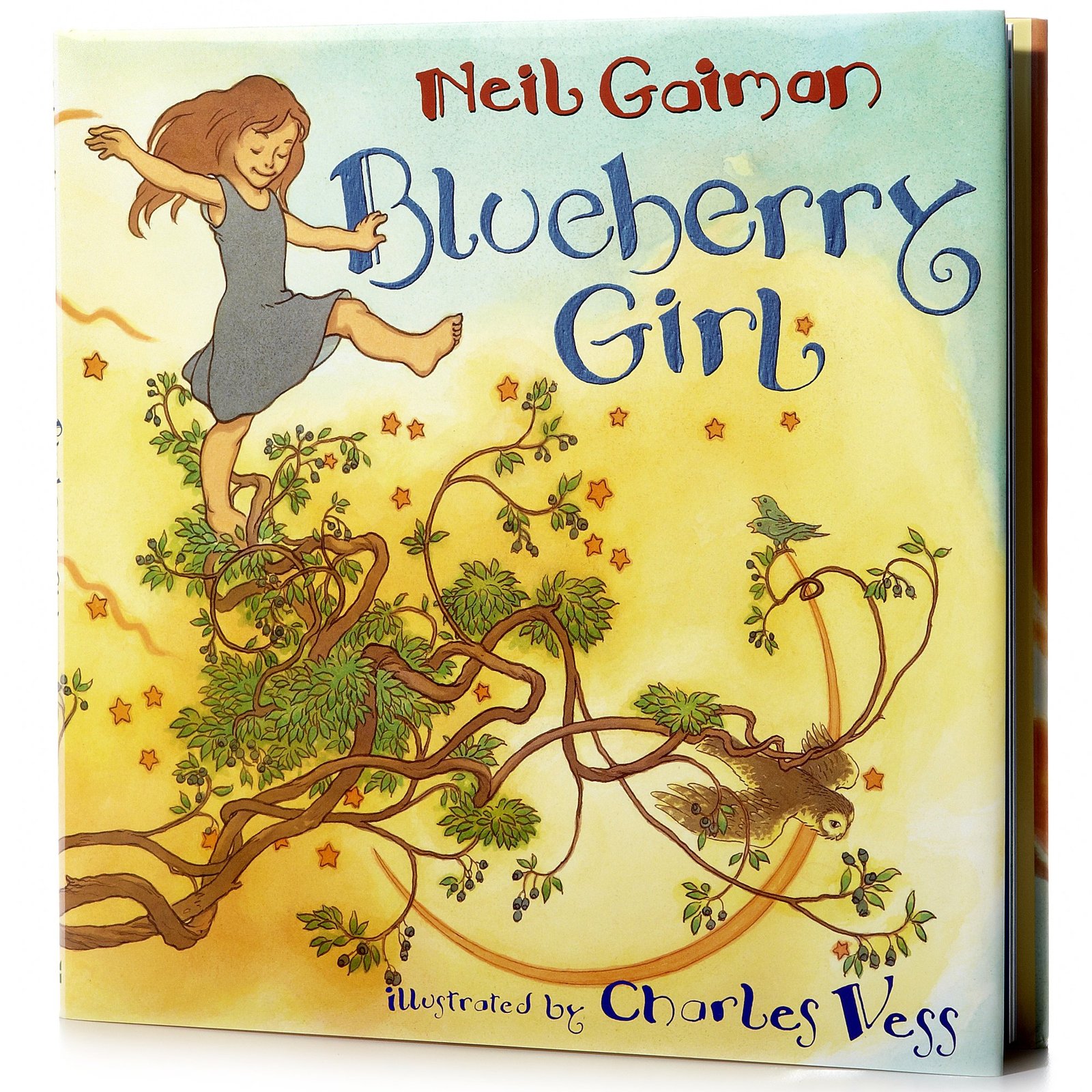 Blueberry Girl Blessing | Valya Dudycz Lupescu